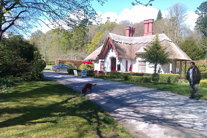 Guided Killarney National Park Walking Tour - Key Points