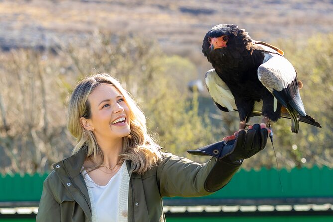 Guided Tour of Aillwee Cave and Visit to the Birds of Prey Centre - Introduction