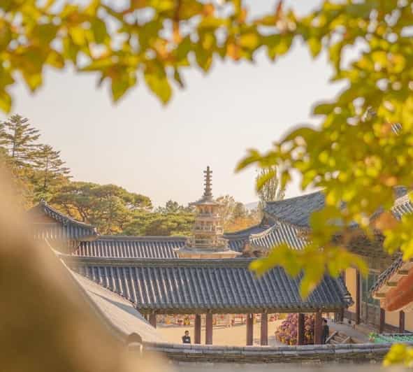 Gyeongju Private Car Tour with a Licensed Tour Guide - Key Points