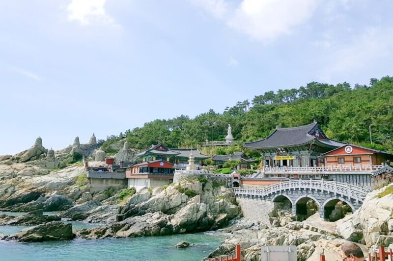 Haedong Yonggungsa Temple, Camellias Island & More - Key Points