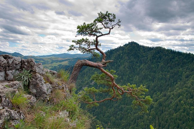 Half-Day Dunajec River Rafting tour from Krakow - Introduction: A Nature Lover’s Escape with a Thrilling Twist
