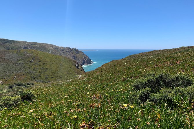 Half Day in Sintra and Cabo da Roca with Wine Tasting - Key Points