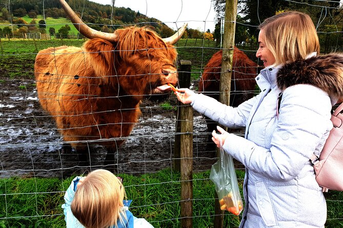 Highlands, Glencoe and Glenfinnan Viaduct Private Tour - A Closer Look at the Itinerary