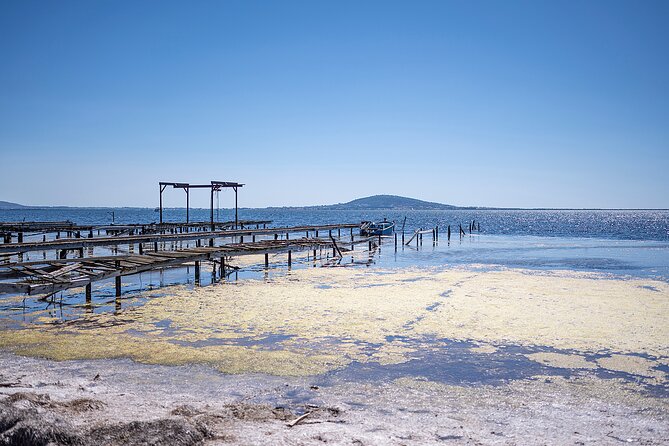Highlights of Sète, food and wine tour - Key Points