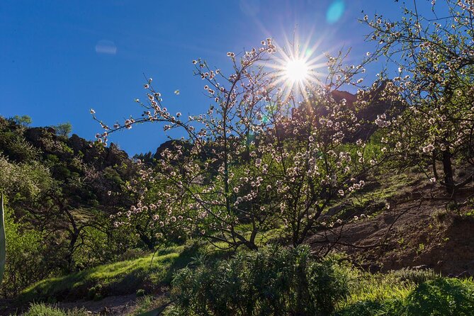 Hikes Roque Nublo - A Closer Look at the Experience