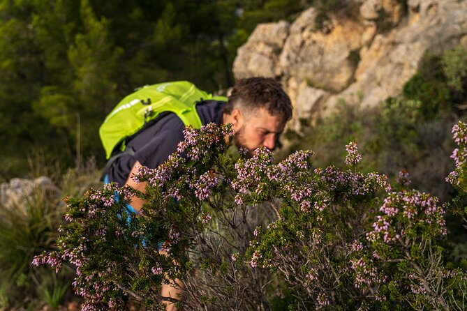 Hiking Tour into the sunset - Port Andratx to Sant Elm - Key Points