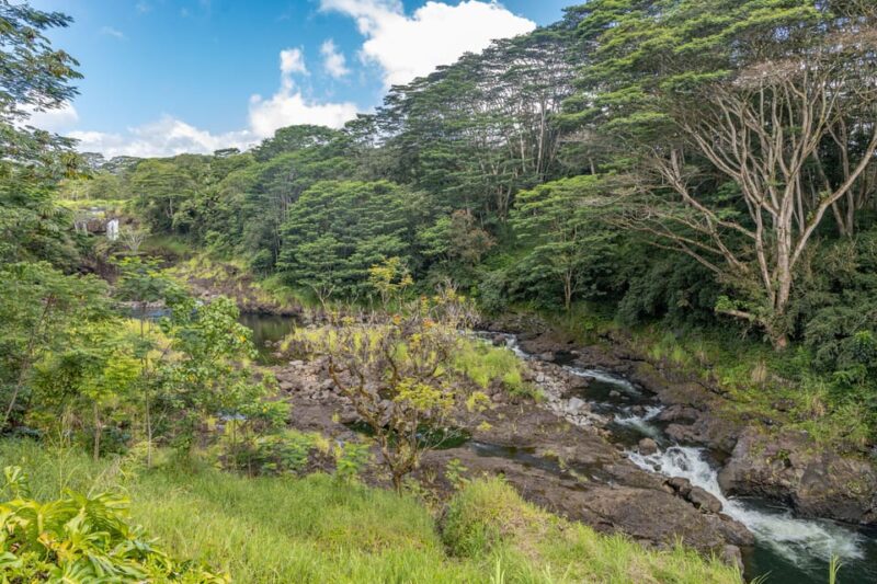 Hilo: Gardens, Waterfalls & Farmers Market Shore Excursion - Key Points