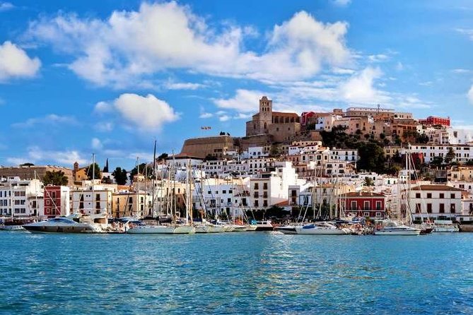 Ibiza Island Tour: Punta Arabi Local Market - Ibiza Island Tour: Punta Arabi Local Market – A Balanced and Authentic Look