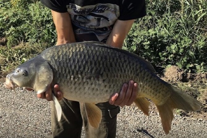 Introduction to fishing in Strasbourg - Key Points