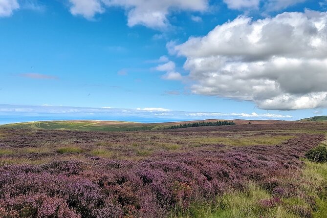 Isle of Man Wildlife & Scenic Adventure with Wildlife enthusiast - Key Points