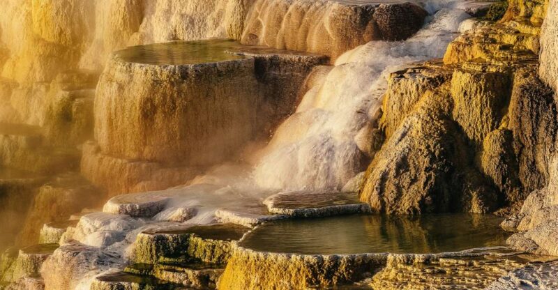 Jackson: 2-Day Yellowstone National Park Tour with Lunches - Key Points