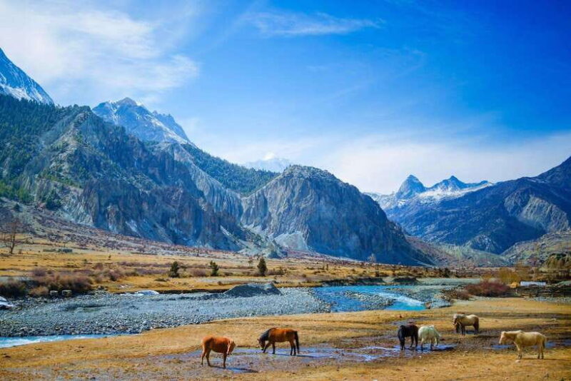 Jeep Trip to Upper Mustang - Key Points