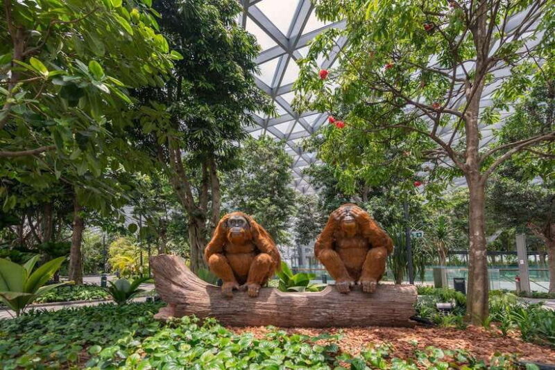 Jewel Changi Airport: Mirror Maze and Canopy Park Ticket - Key Points
