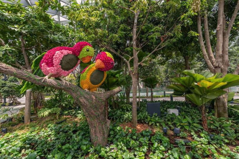 Jewel Changi Airport: Sky Nets Admission Ticket - Key Points