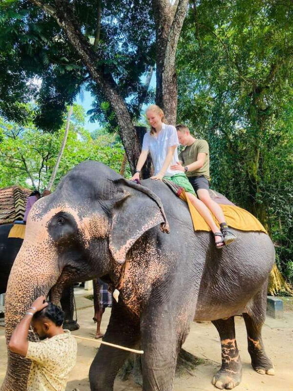 Kandy City Tour with Pinnawala Tuk Tuk Ride - Key Points