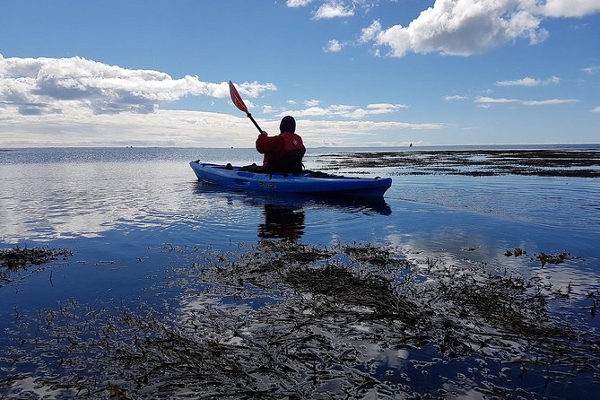 Kayak Adventure - Exploring Sicily from the Water: A Kayak Adventure Review