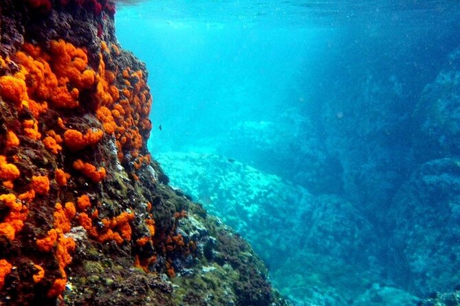 Kayak & Snorkel Tour in Cerro Gordo Natural Park, La Herradura - What to Expect from the Cerro Gordo Kayak & Snorkel Tour