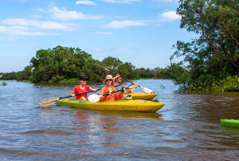 Kayaking & Floating Village in Siem Reap - Key Points