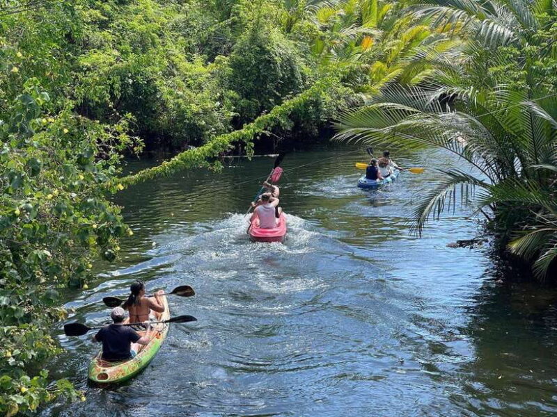 Kayaking tour around green cathedral - Key Points