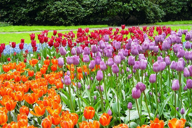 Keukenhof and Flower Fields Private Tour from Amsterdam - Exploring the Keukenhof and Flower Fields Private Tour from Amsterdam