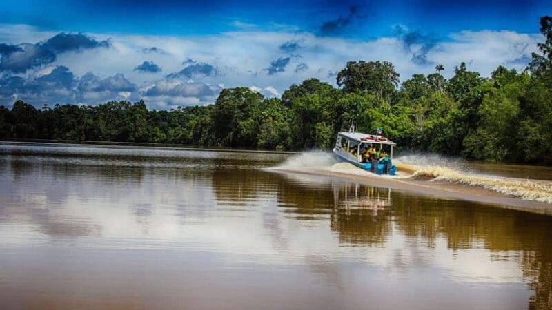 Kinabatangan River Trip from Sandakan with Lunch Included - Exploring the Kinabatangan River: A Day of Wildlife and Scenic Beauty
