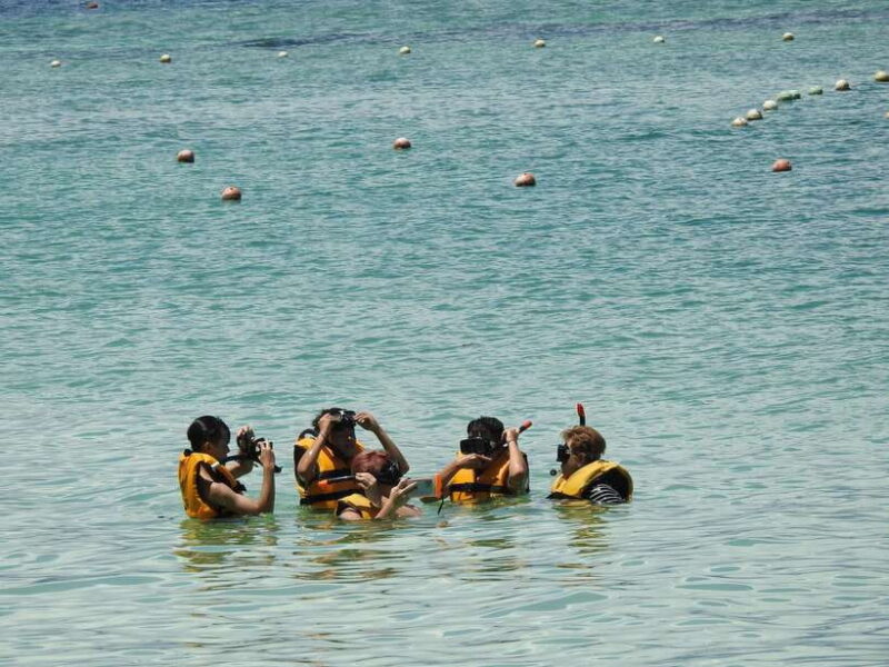 Kota Kinabalu: Island Hopping with Snorkeling & Meal - Key Points