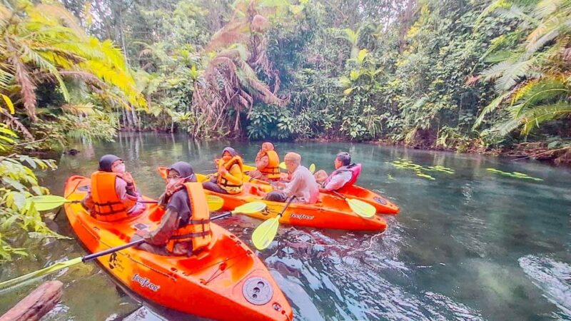Krabi kayaking and swimming clongrood Tour - Key Points