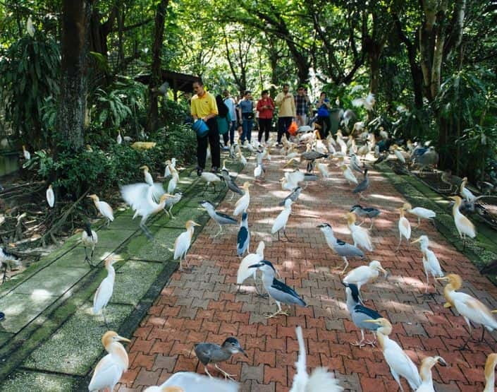 Kuala Lumpur: Bird Park, Butterfly & Garden Private Tour - Introduction