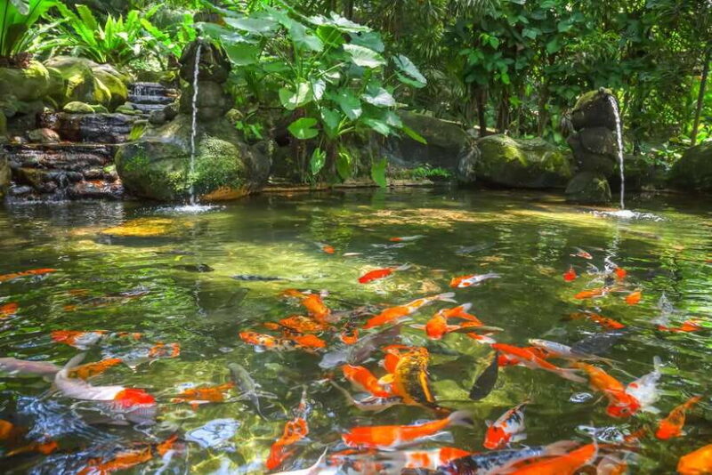 Kuala Lumpur: Bird Park Day Ticket & 1-Way Transfer - Key Points