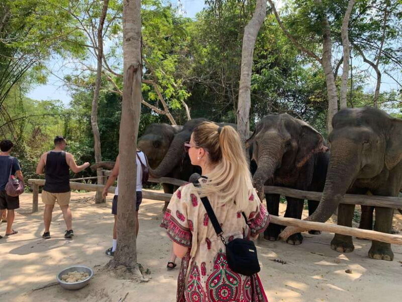 Kulen Elephant Forest & Tonlesap Lake Include boat /Transfer - Key Points