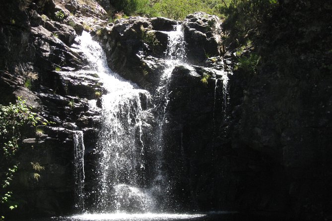 Lakes of Madeira- Alecrim Full day walk - Itinerary Breakdown: What to Expect