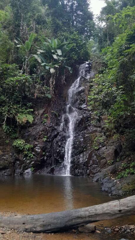 Langkawi: Countryside Bike Tour, Waterfall Swim & Dessert - Key Points