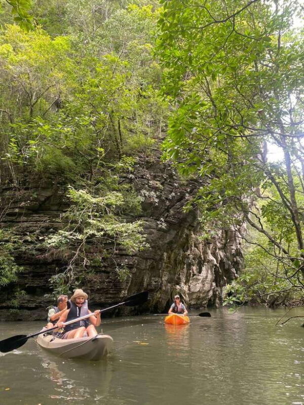 Langkawi: Kilim Karst Mangrove Kayak Adventure - Key Points