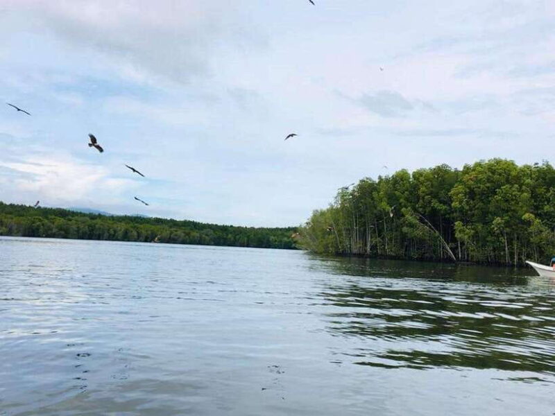 Langkawi: Tanjung Rhu Mangrove Speedboat Tour - Key Points