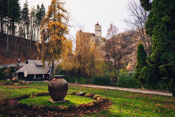 Legends&Wildlife Awaits: Dracula's Castle & Bear Sanctuary - Key Points