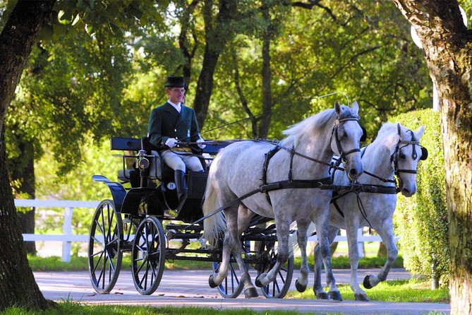 Lipica Stud Farm- Private Experience from Koper - Starting Point: Seamless Pickup and Transit