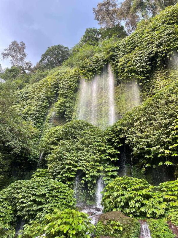 Lombok : hiking- rice terrace & waterfalls tour - Key Points