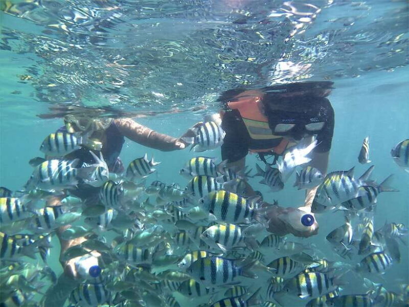 Lombok: Snorkeling Trip Gili Nanggu, Sudak & Kedis - Key Points