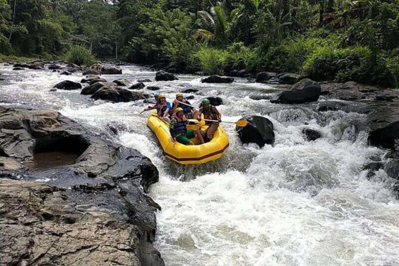 Lombok: White Water Rafting, Rice Terrace & Waterfall Tour - Key Points