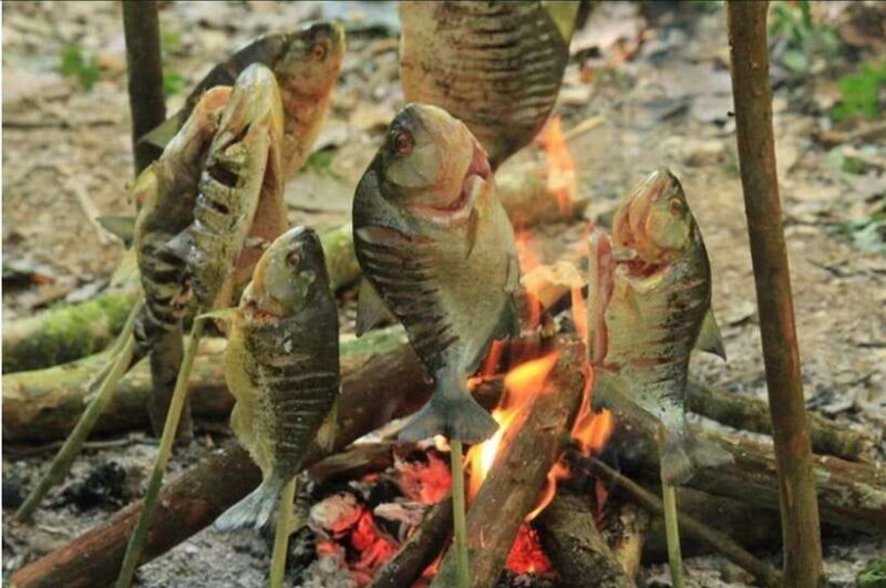 Luang Prabang: Forest Camping Experience with Cooking Class - Key Points