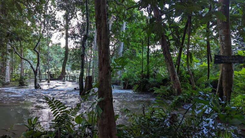 Luang Prabang: Full Day Trek to Kuang Si Waterfall & Village - Key Points
