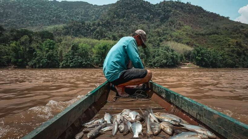Luang Prabang: Mekong Fishing with a Local Fisherman & Lunch - Key Points