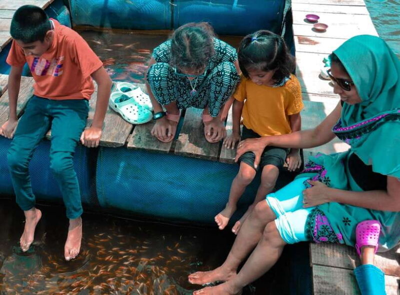 Madu River Boat Safari - Key Points