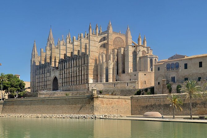 Mallorca Shore Excursion Bellver Castle and Cathedral Private Tour - Key Points
