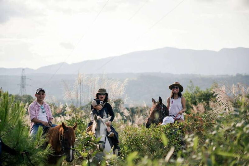 Mang Den: Horse Riding Tour with Drinks & Pickup - Discover the Charm of Mang Den Horse Riding Tour with Drinks & Pickup