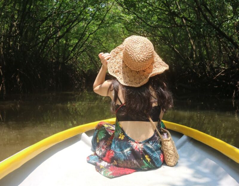 Mangrove Day Tour - Bintan - Introduction