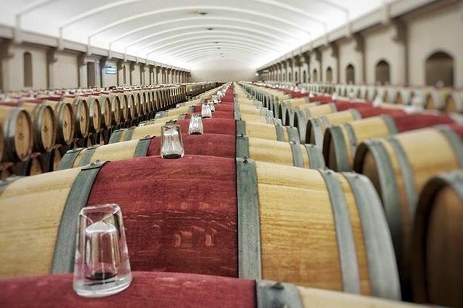 Medoc Region Private Sightseeing & Wine Day Trip with Tasting from Bordeaux - Discovering the Médoc Region: A Private Wine Day Trip from Bordeaux