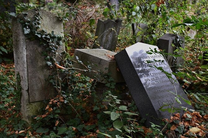 Mobile puzzle rally tour at the Vienna Central Cemetery - Key Points