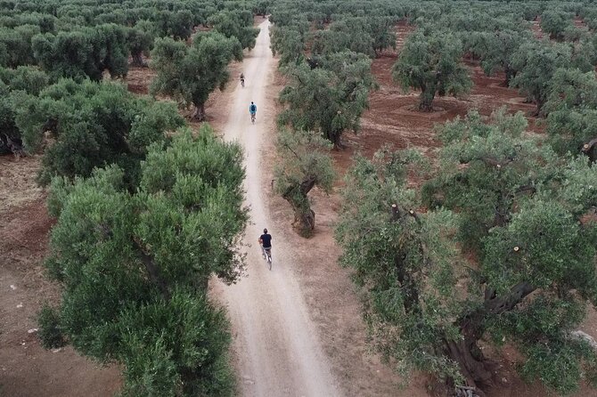 Monopoli's Countryside by Bike - Introduction: An Inviting Adventure into Puglia’s Heartland