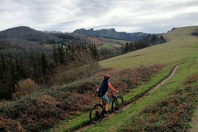 Mountain Bike Small Group Tour in San Sebastian - Key Points